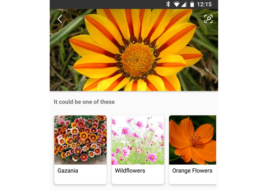 Google Lens & News: Bing Visual Search und Microsoft News machen den ...