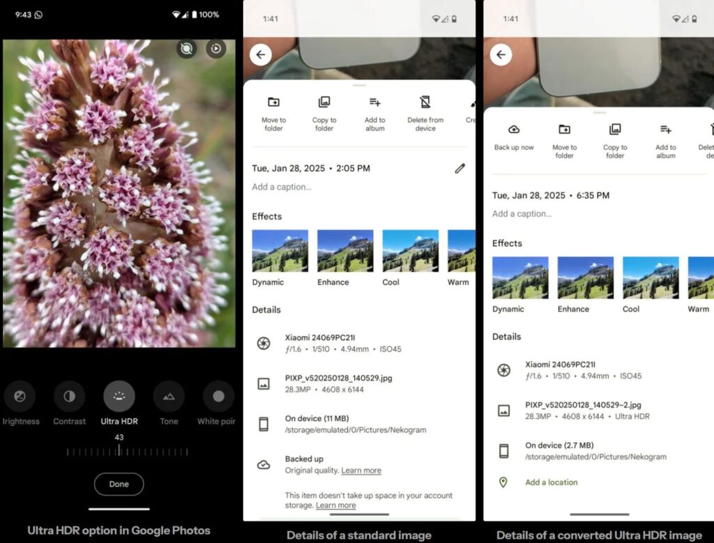 Google Fotos: Neue Ultra HDR-Funktion wird jetzt für alle Nutzer ...